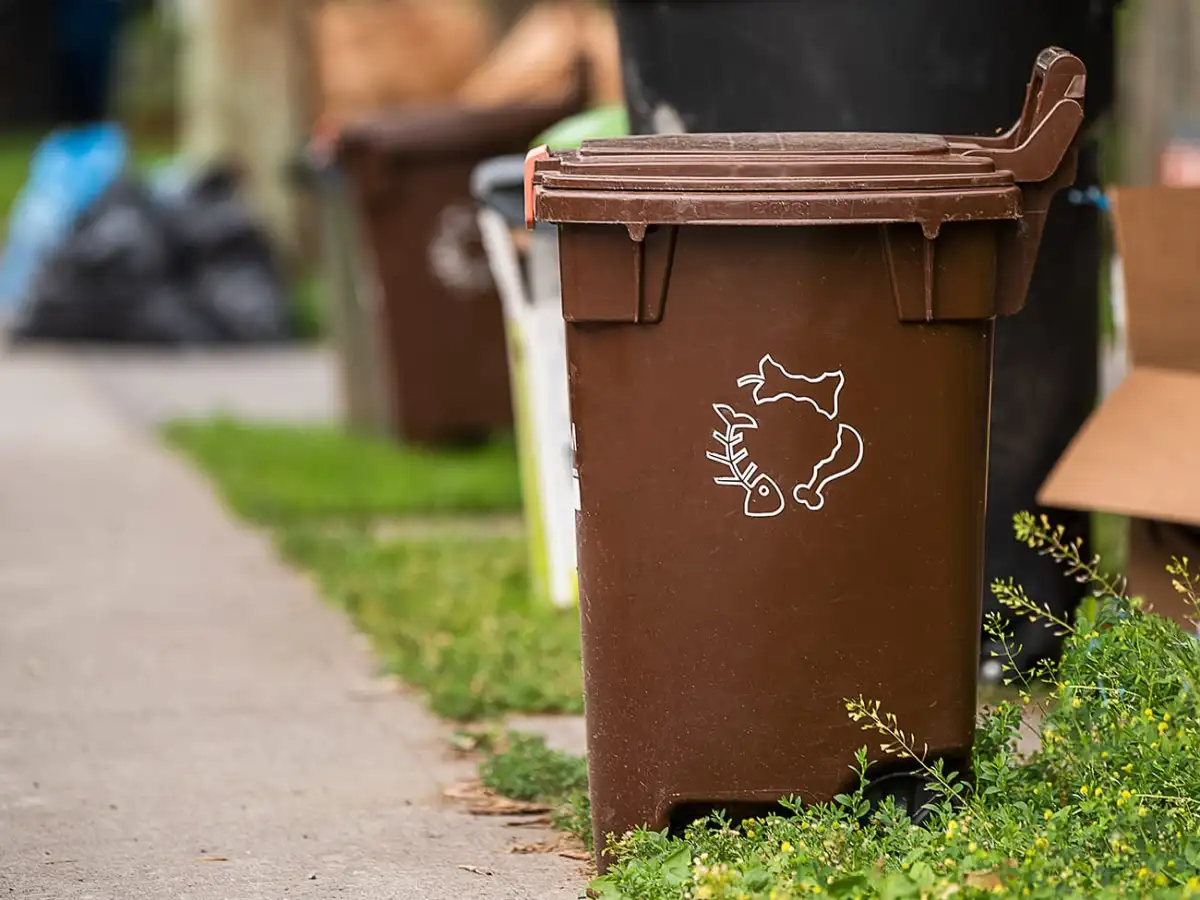 Dans les coulisses du compost : Qui s’active derrière votre bac brun ...